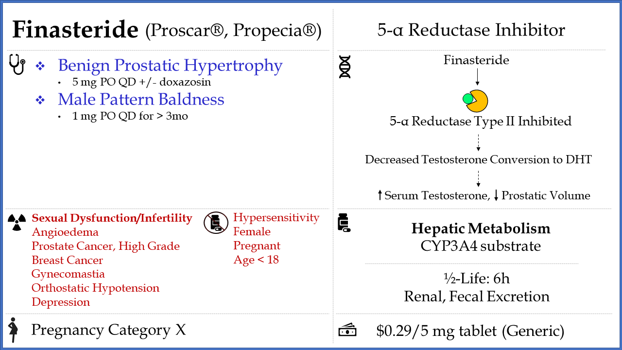 Activity of the type 1 5 alpha-reductase exhibits regional differences ...